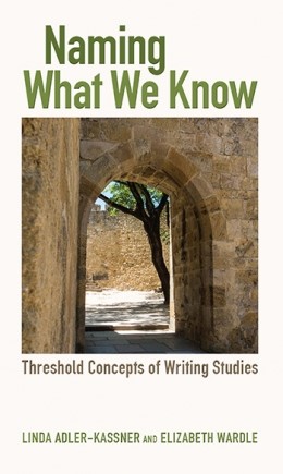 threshold concepts in academic writing | patter