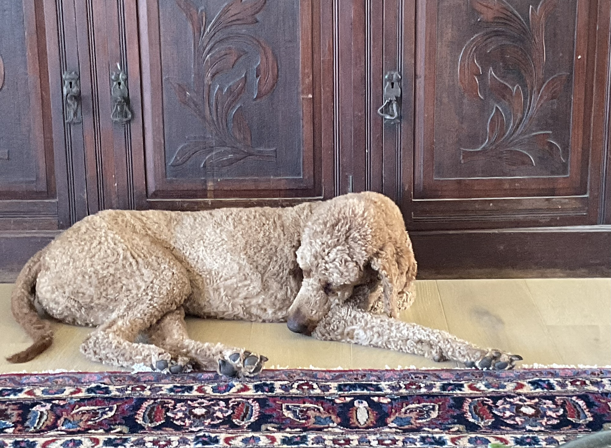 key word – coherence in academic writing – patter